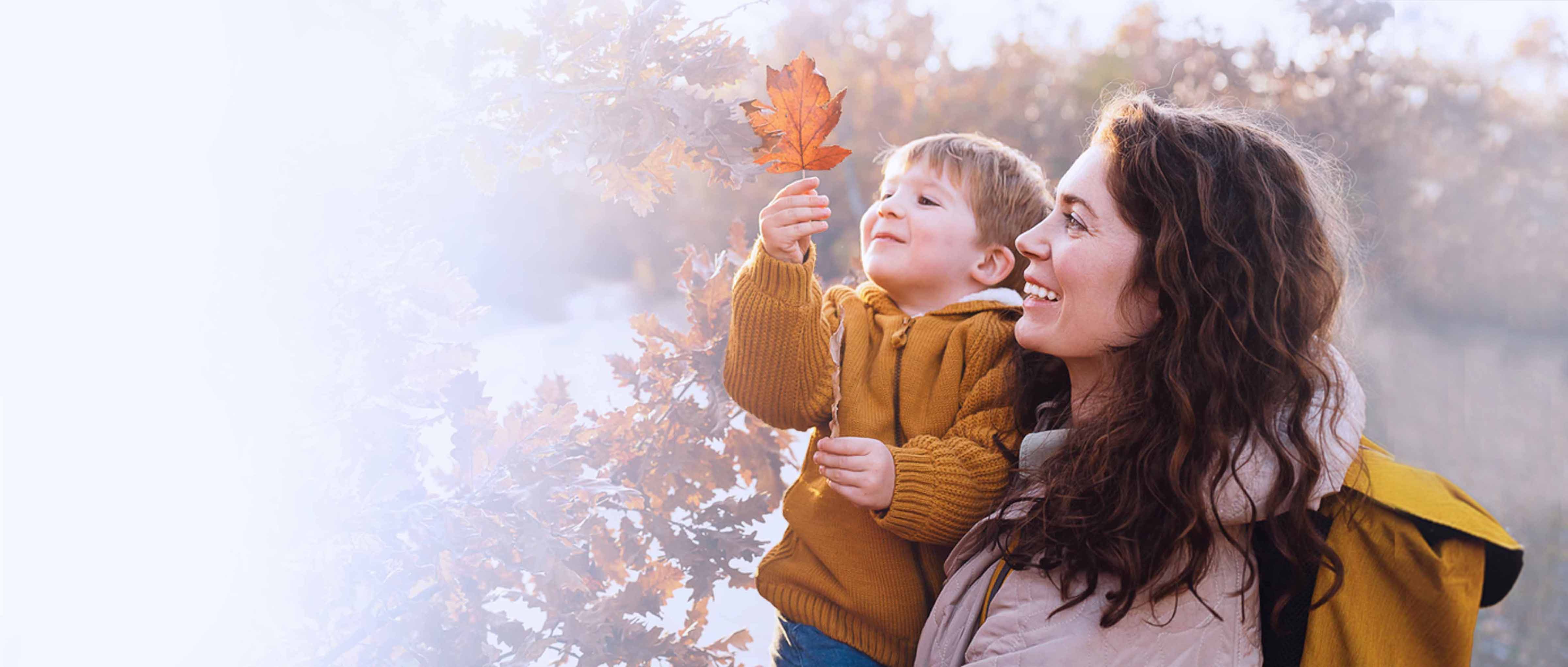 Personal Banking, Credit Cards, Loans | First Citizens Bank