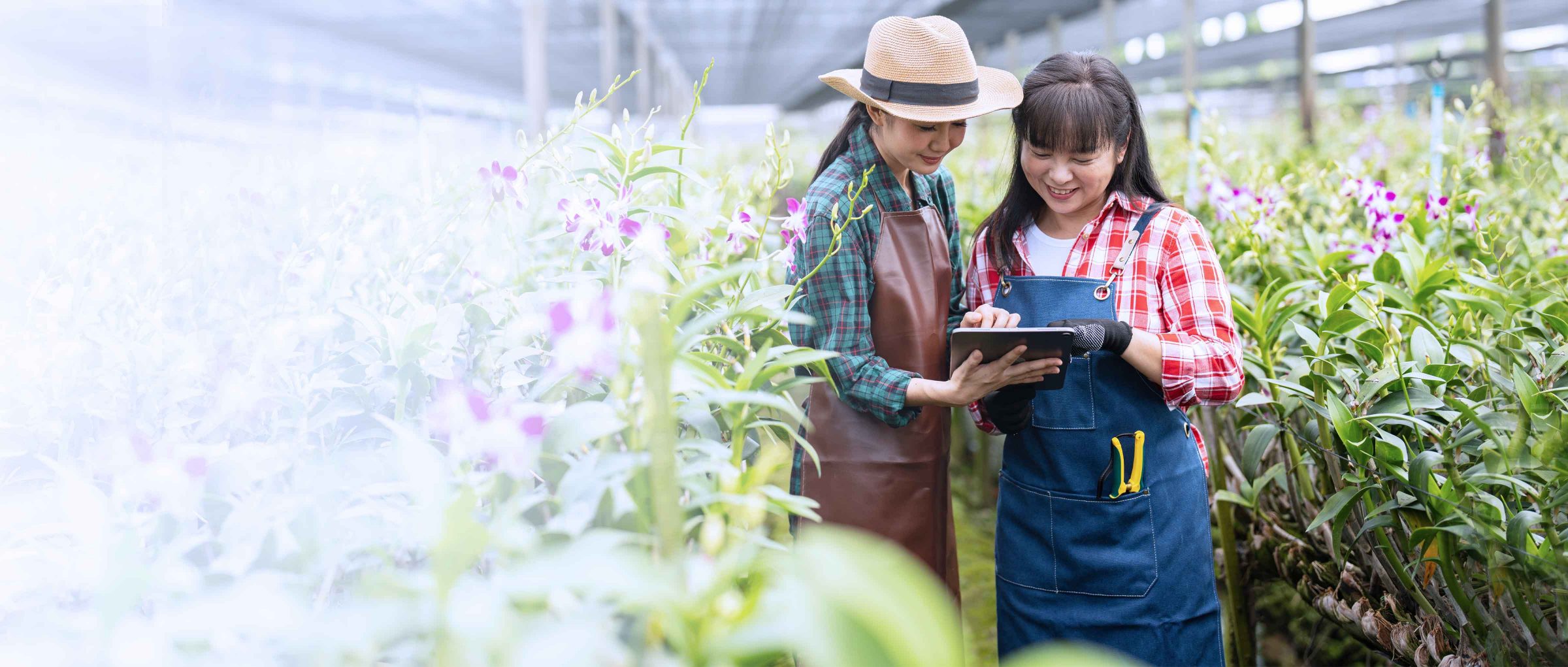 Small Business | First Citizens Bank