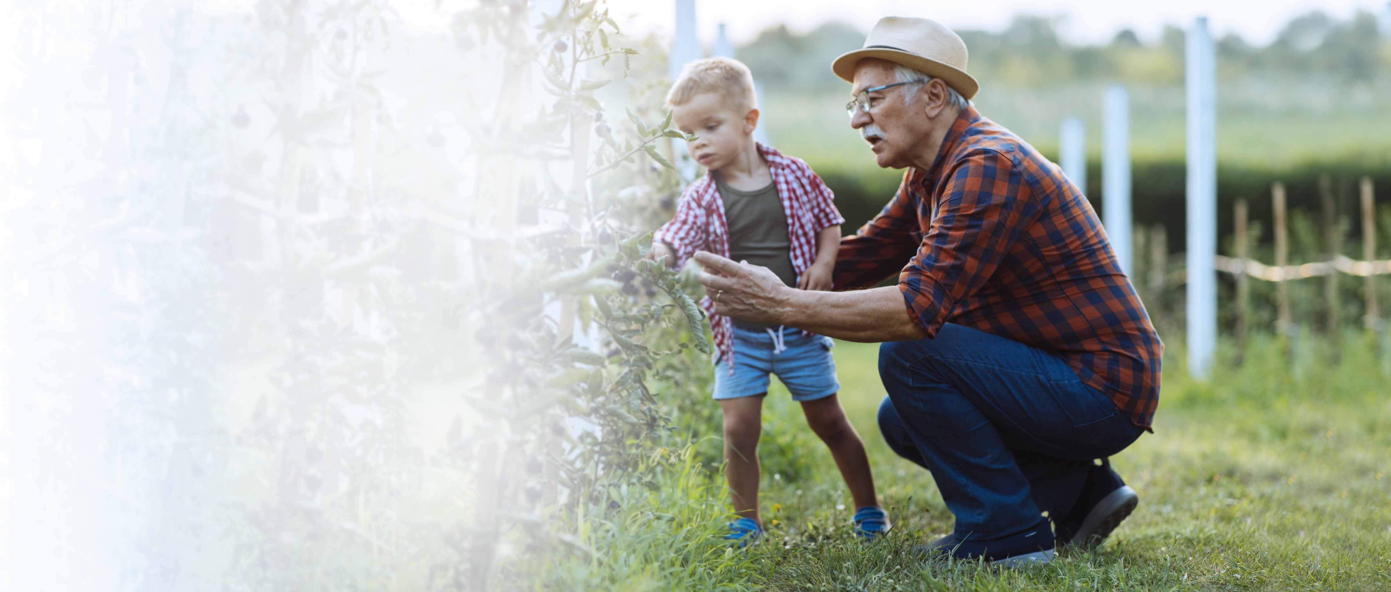 Wealth Management Services | First Citizens Bank