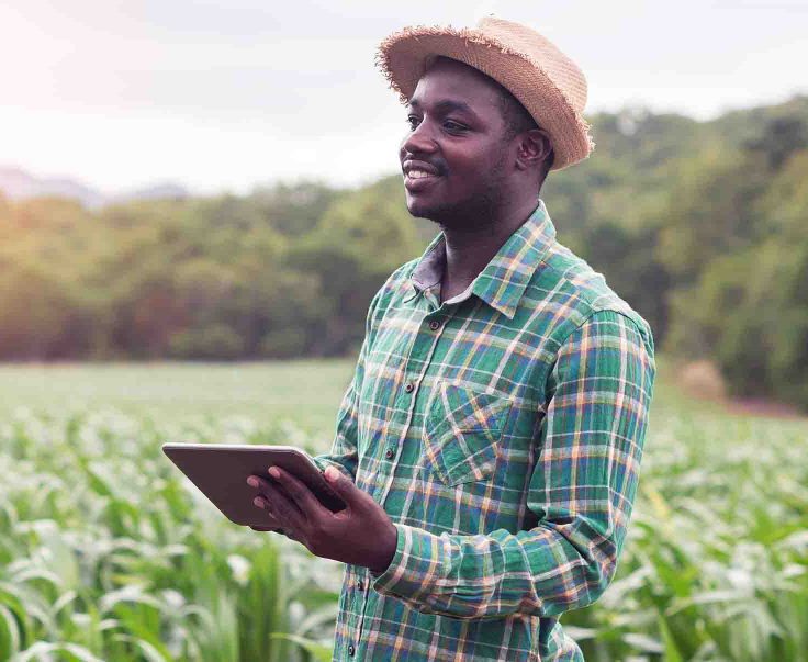 Hemp Business Banking | Cannabis Banking | First Citizens