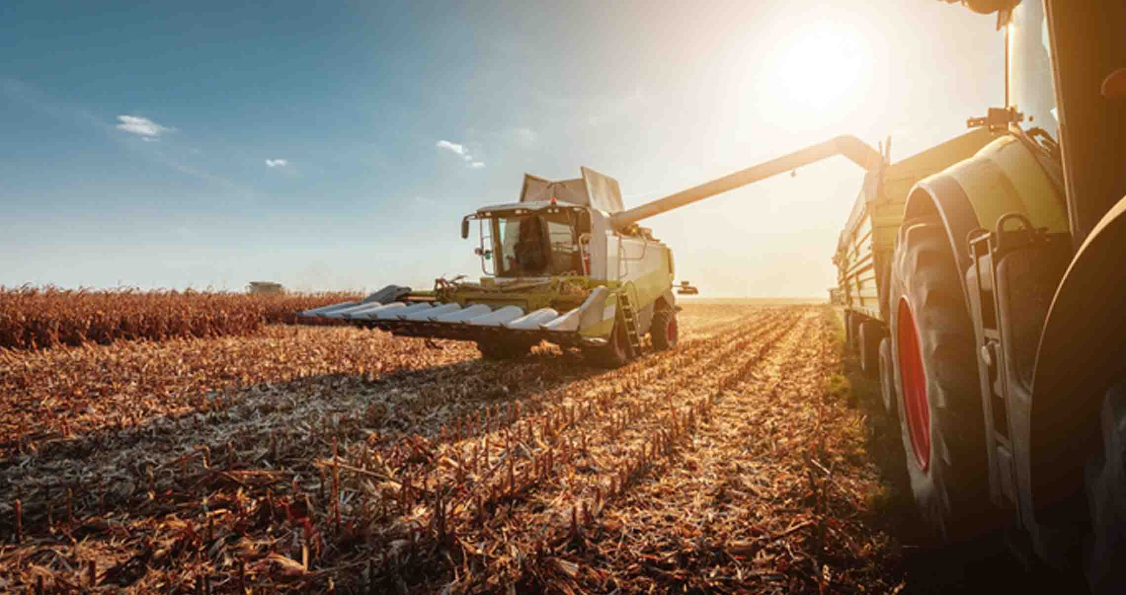 Building a nimble crop farming business plan