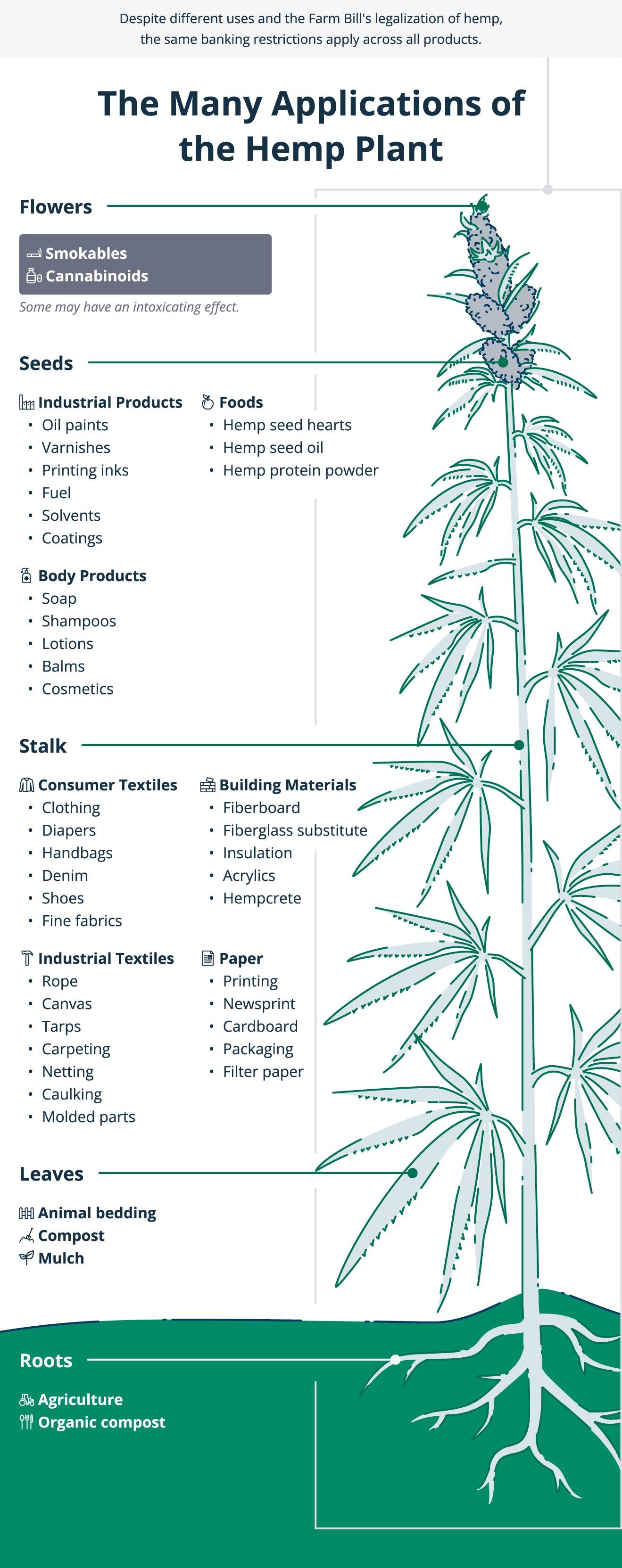 Increasing access to banking for hemp and CBD companies