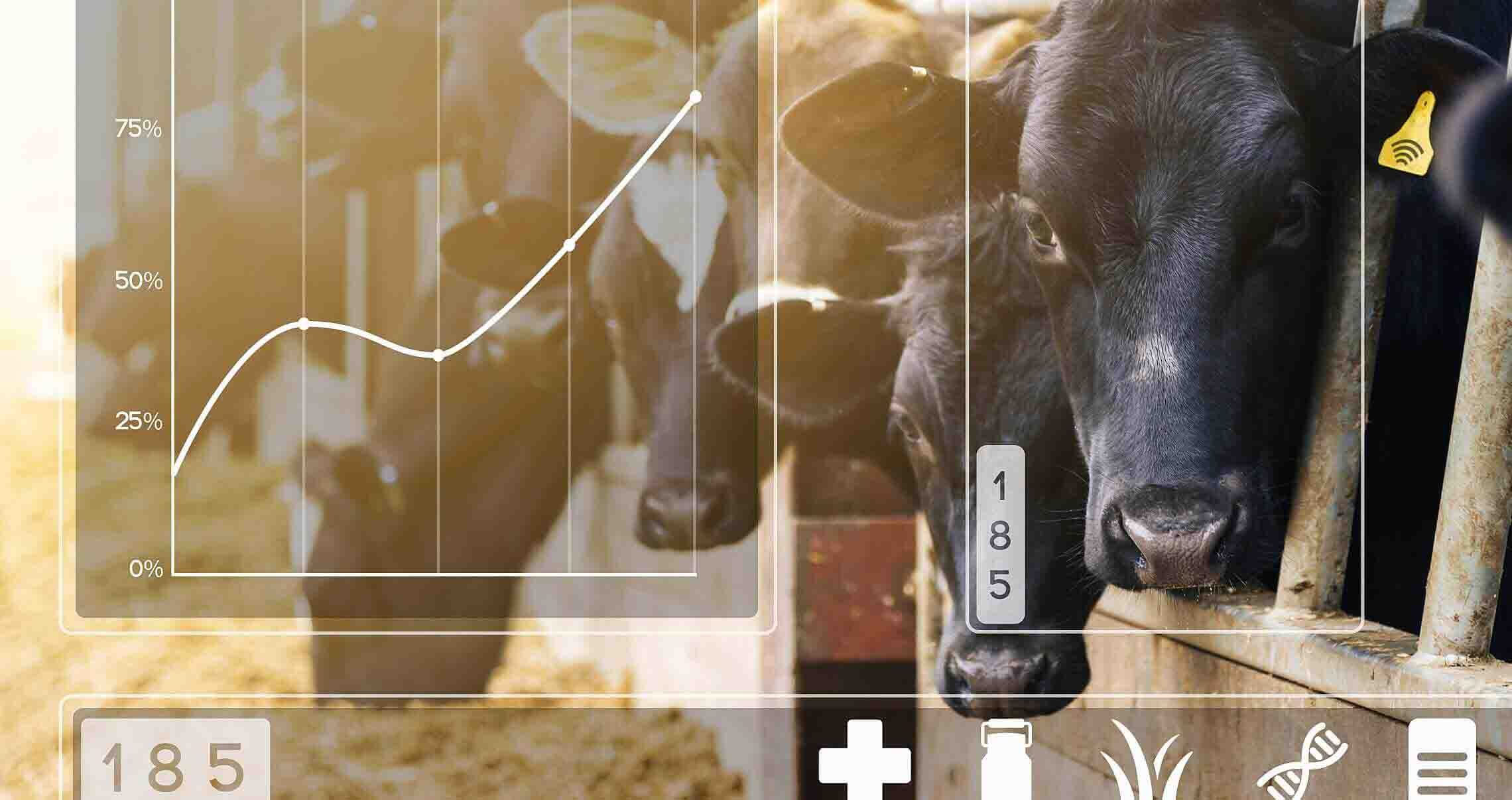 Why Investing in Agriculture Monitoring Systems Makes Business Sense ...
