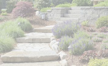 Small Business | First Citizens Bank